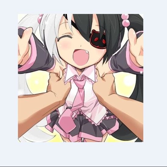 二次元爱好者张某 