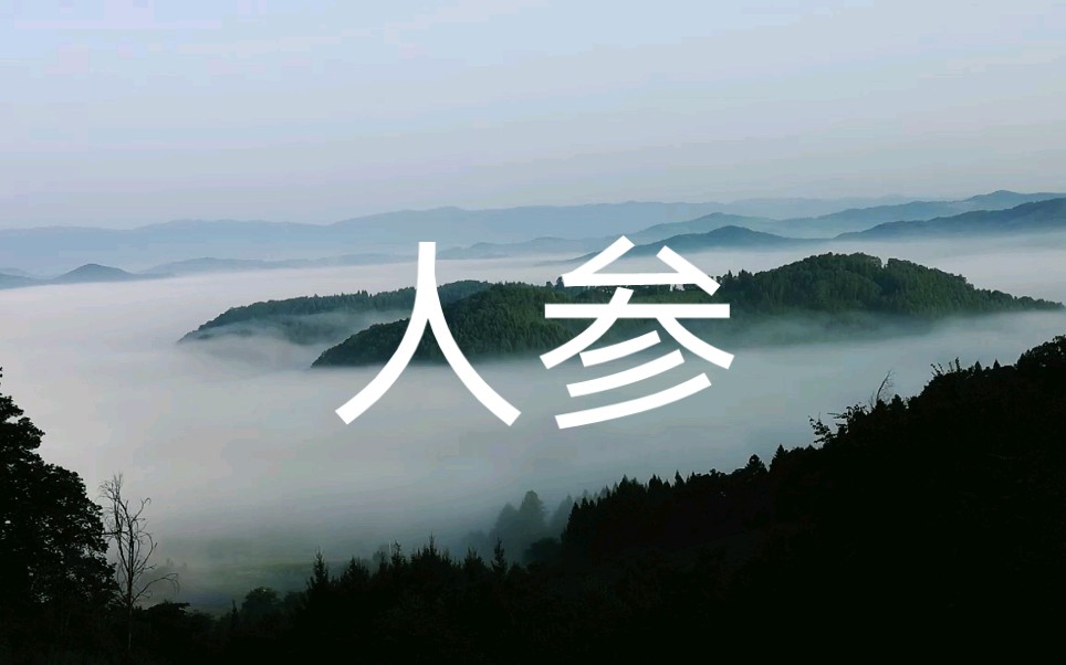 《采人参》陶弘景(宋三芽五叶,背阳向阴。欲来求我,椴树相寻。