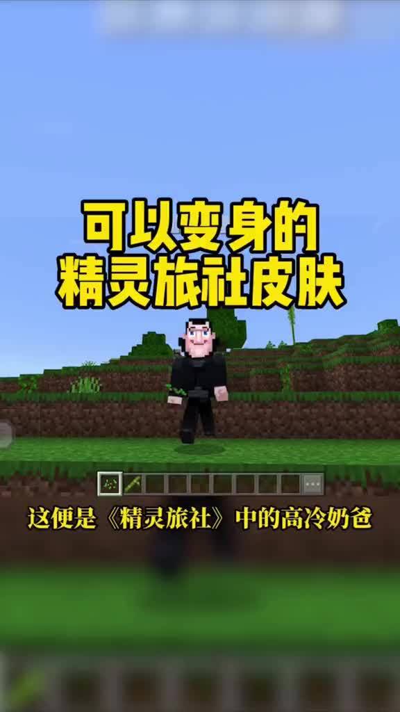 现在的皮肤都可以变身了?你们见过吗?#我的世界精灵旅社