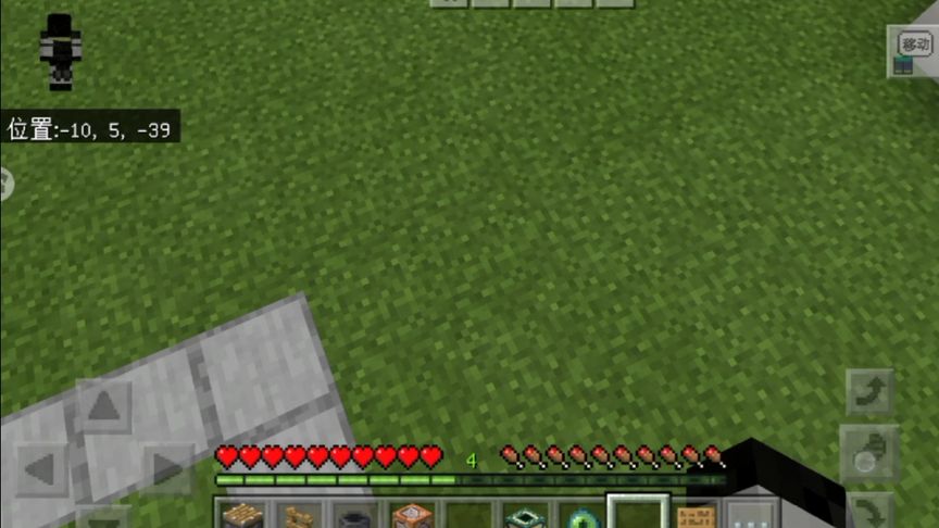 我的世界:如何在生存模式飞?(看简介)