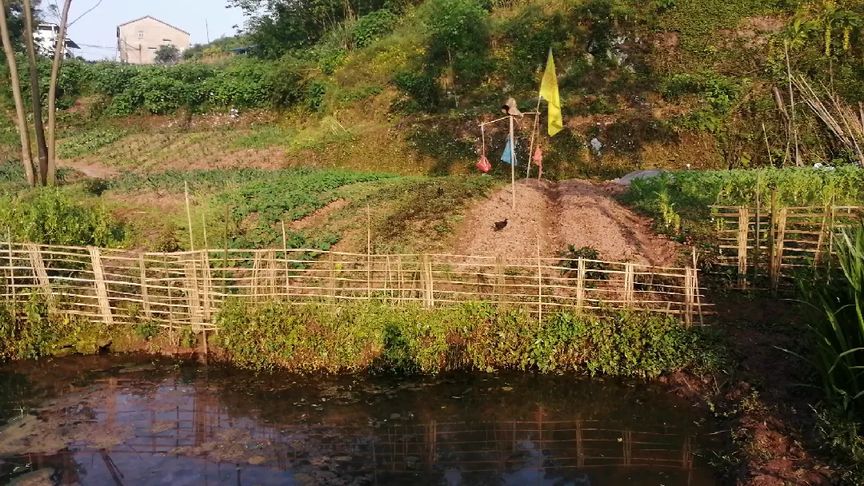 稻草人用来干什么用,朋友们知道吗?
