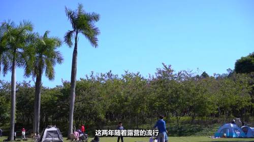 电小二户外电源 800 Pro体验:多接口快充,最高100W,露营不缺电