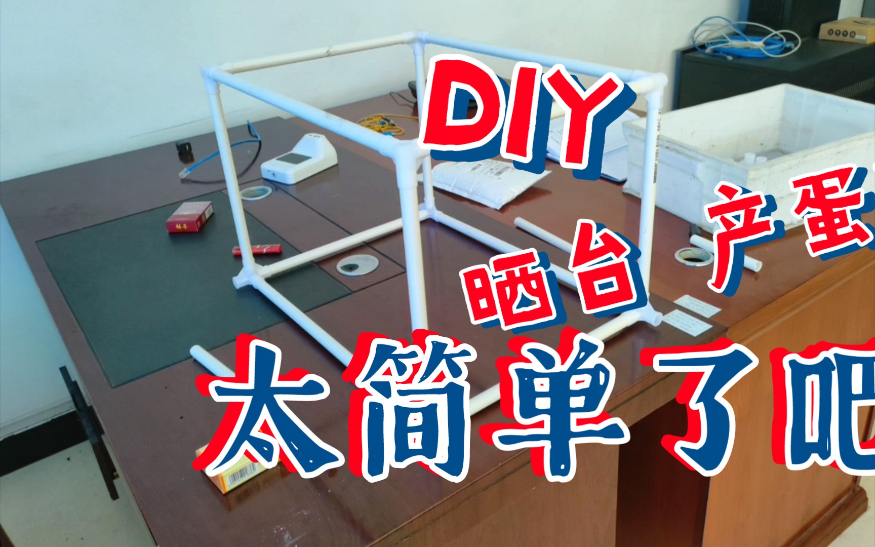 龟龟产蛋池Diy,太简单了吧!