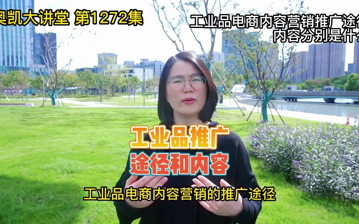 1272 工业品电商内容营销推广途径内容分别是什么
