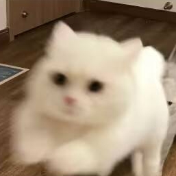 歌谷爱墨迹 
