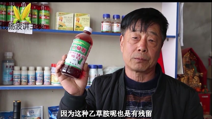 钱杨波:农药的种类以及农药的作用和使用方法