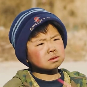 洒脱的小汪 
