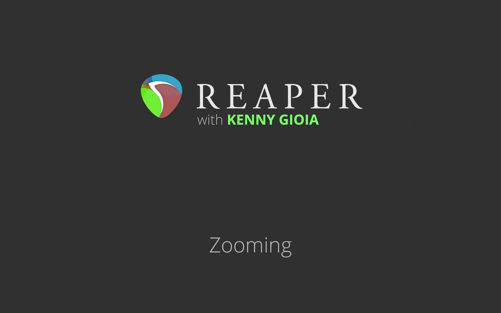 REAPER中缩放功能设置