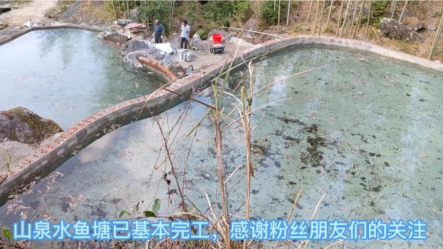 山泉水鱼塘基本完工了,接下来就是浸泡、石灰消毒、放鱼苗了