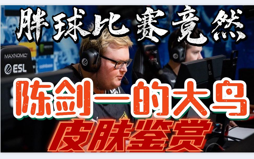 【CSGO皮肤】胖球比赛使用大鸟?皮肤鉴赏