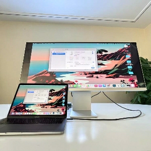 专注于显示器的小美 