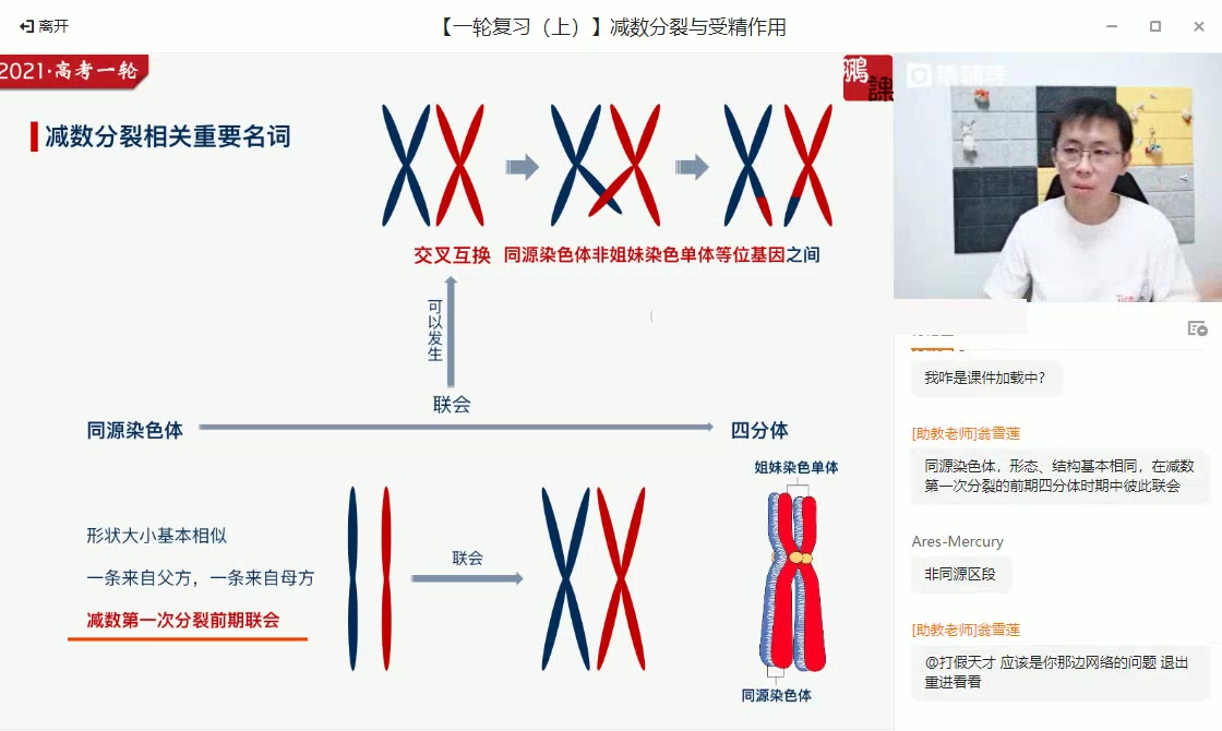 ...张鹏老师带你生物冲刺吧5+。 9【一轮复习上】减数分裂与受精作用
