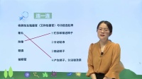 第二节 人的生殖