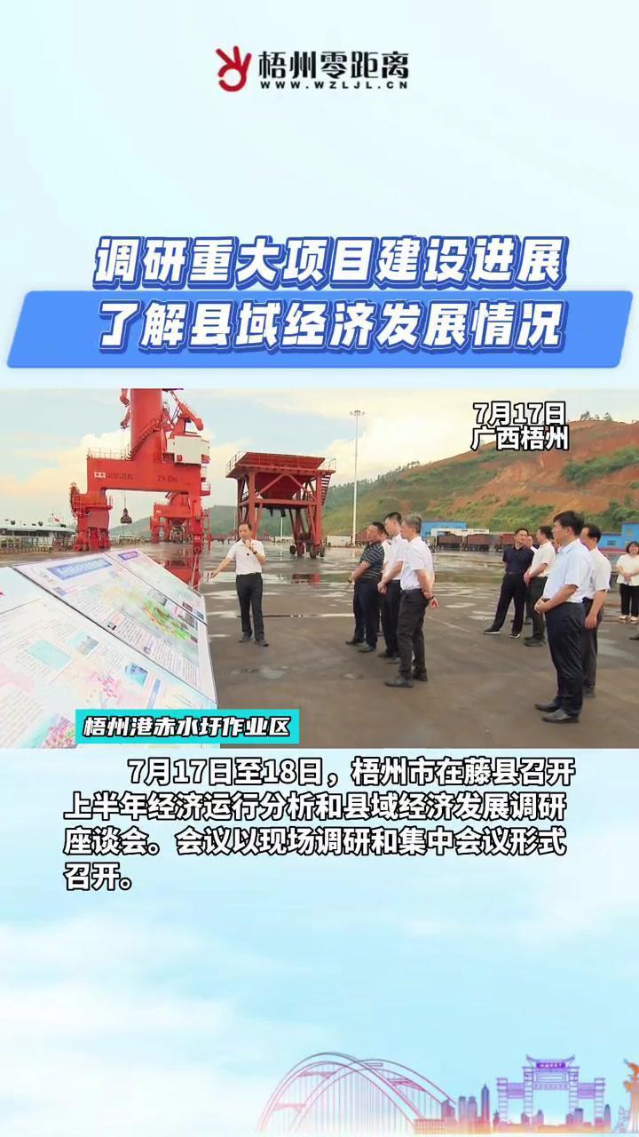 ...市在藤县召开上半年经济运行分析和县域经济发展调研座谈会。会议...