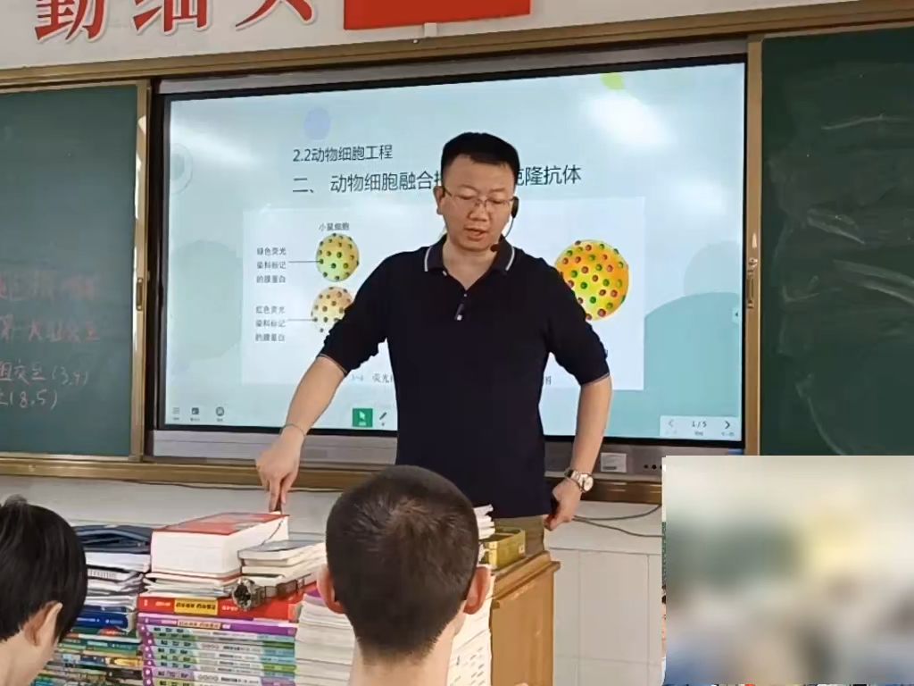 【跟亮哥学生物】高中生物选择性必修三 2.2(二) 细胞融合技术与单...