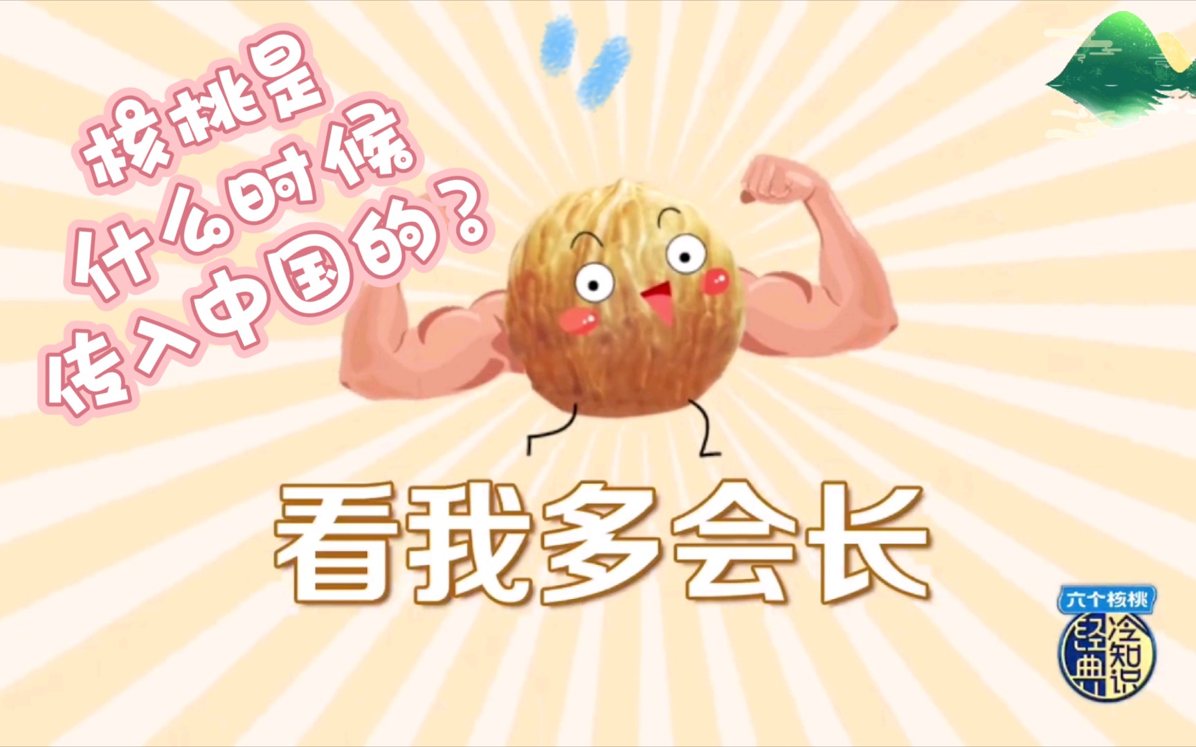 【经典冷知识】核桃早在汉朝传入中国,古文记载:“张骞使西域还,乃得...