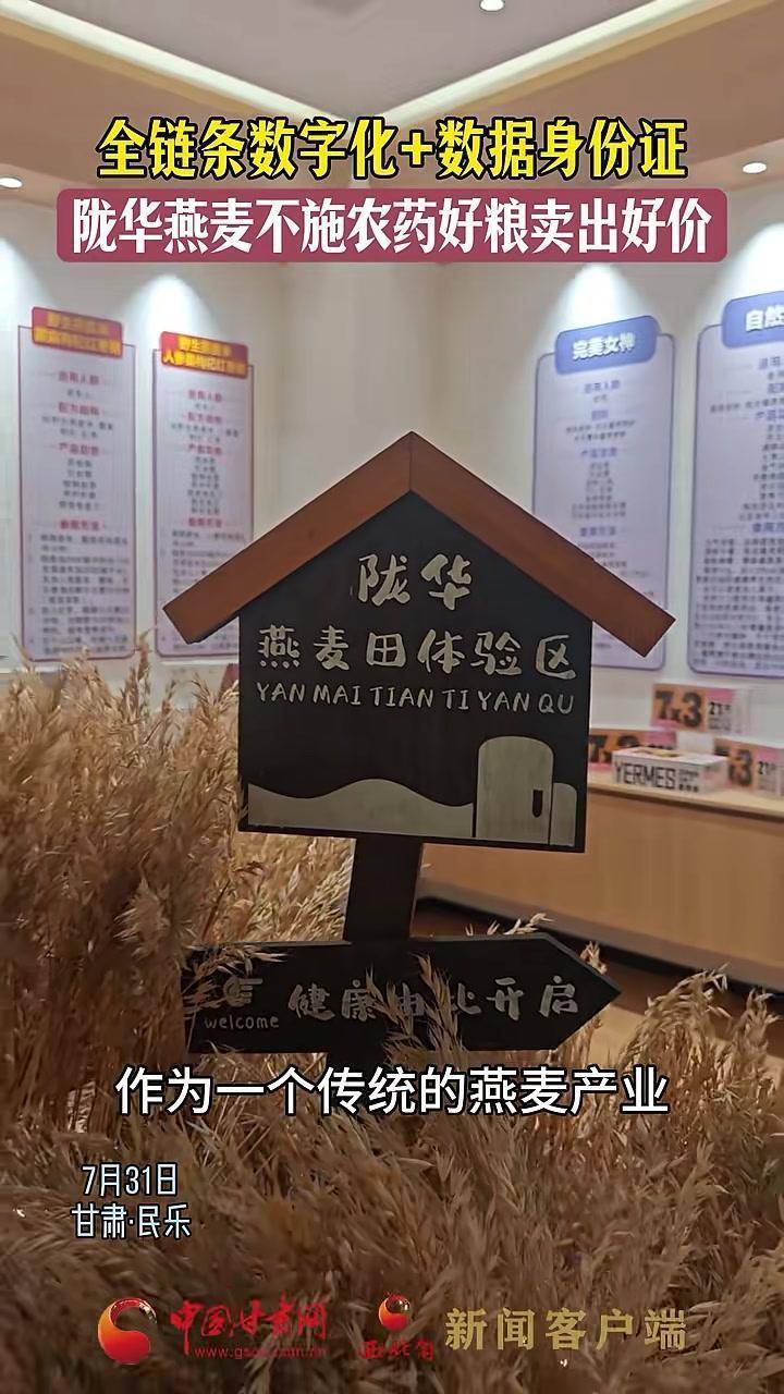 全链条数字化+数据身份证陇华燕麦不施农药好粮卖出好价