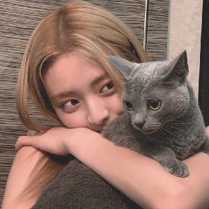 好像是无关的吧 