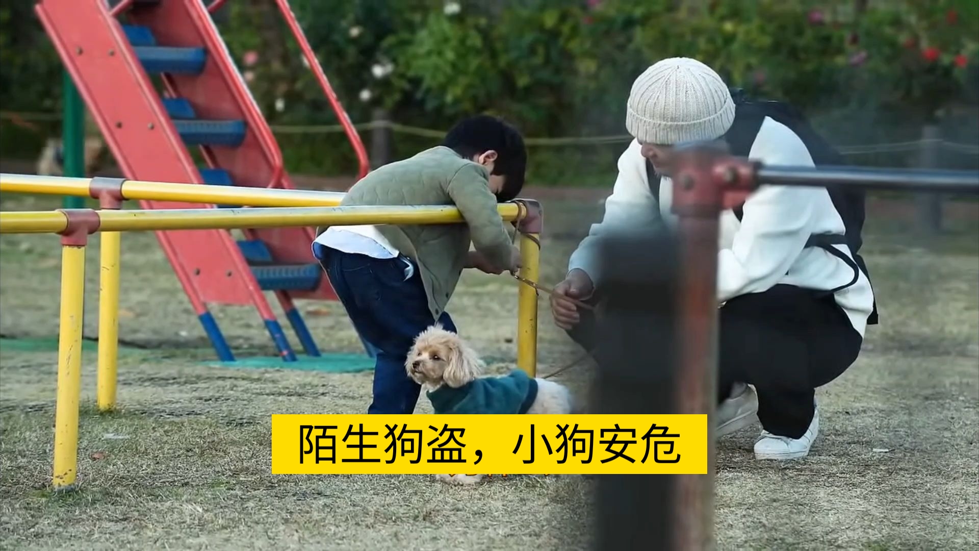 【社会实验】一个陌生人试图偷走小狗,人们会阻止他吗