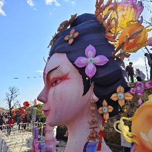 南方爱神 