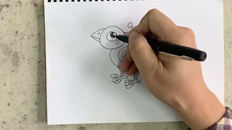 教你简笔画个鸟。小朋友掏钱去画画班,不如免费在家轻松学画