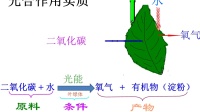 微课:光合作用的实质和意义