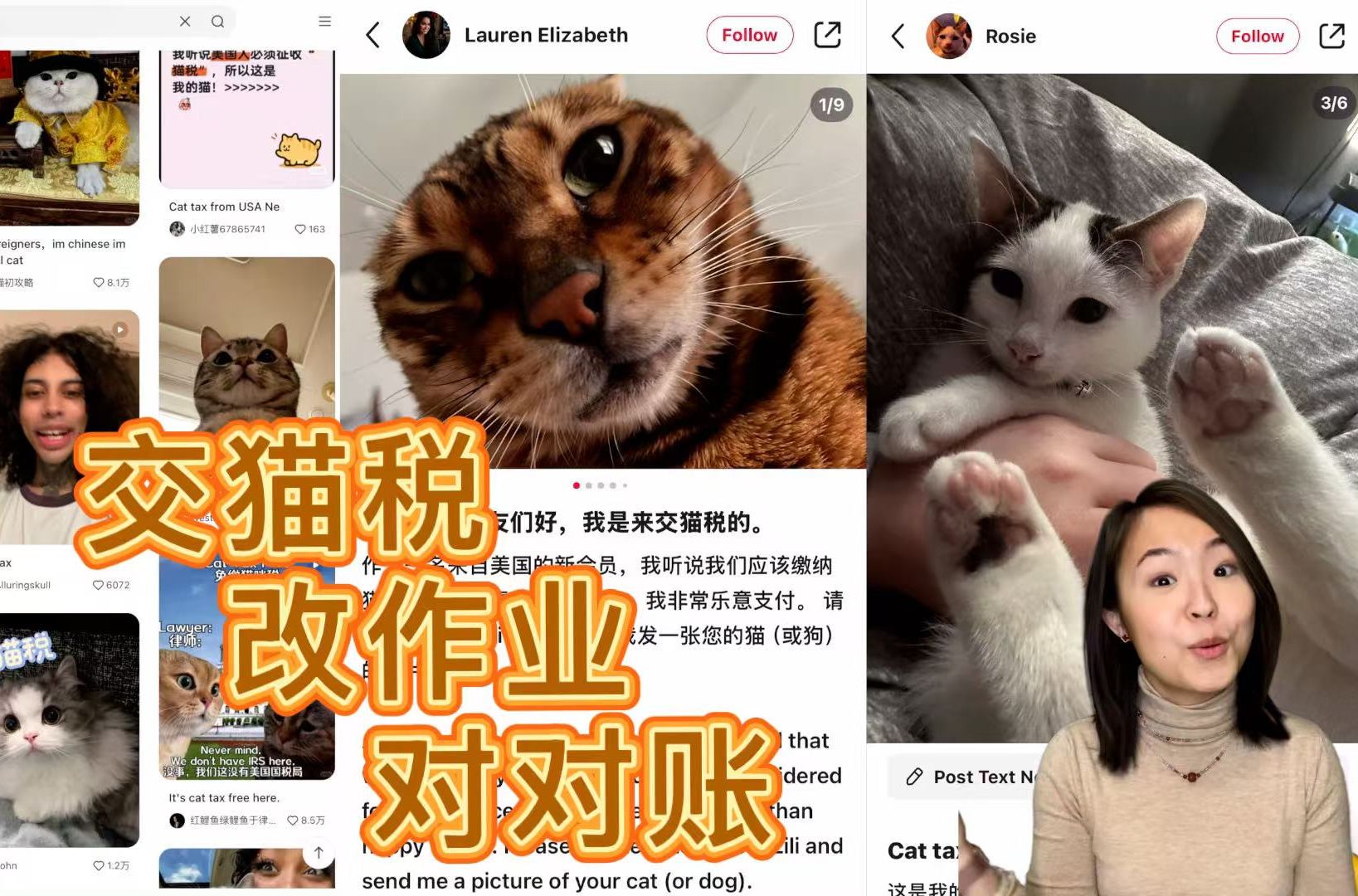 交猫税 改作业 对对账 民间交流本该这样!