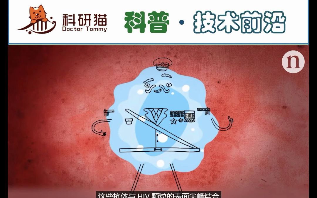 HIV是如何攻击我们免疫系统的?抗逆转录病毒药物又是怎样成为我们的...