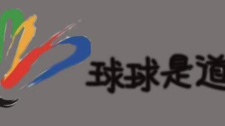 2011全英羽毛球公开赛李宗伟VS林丹决赛