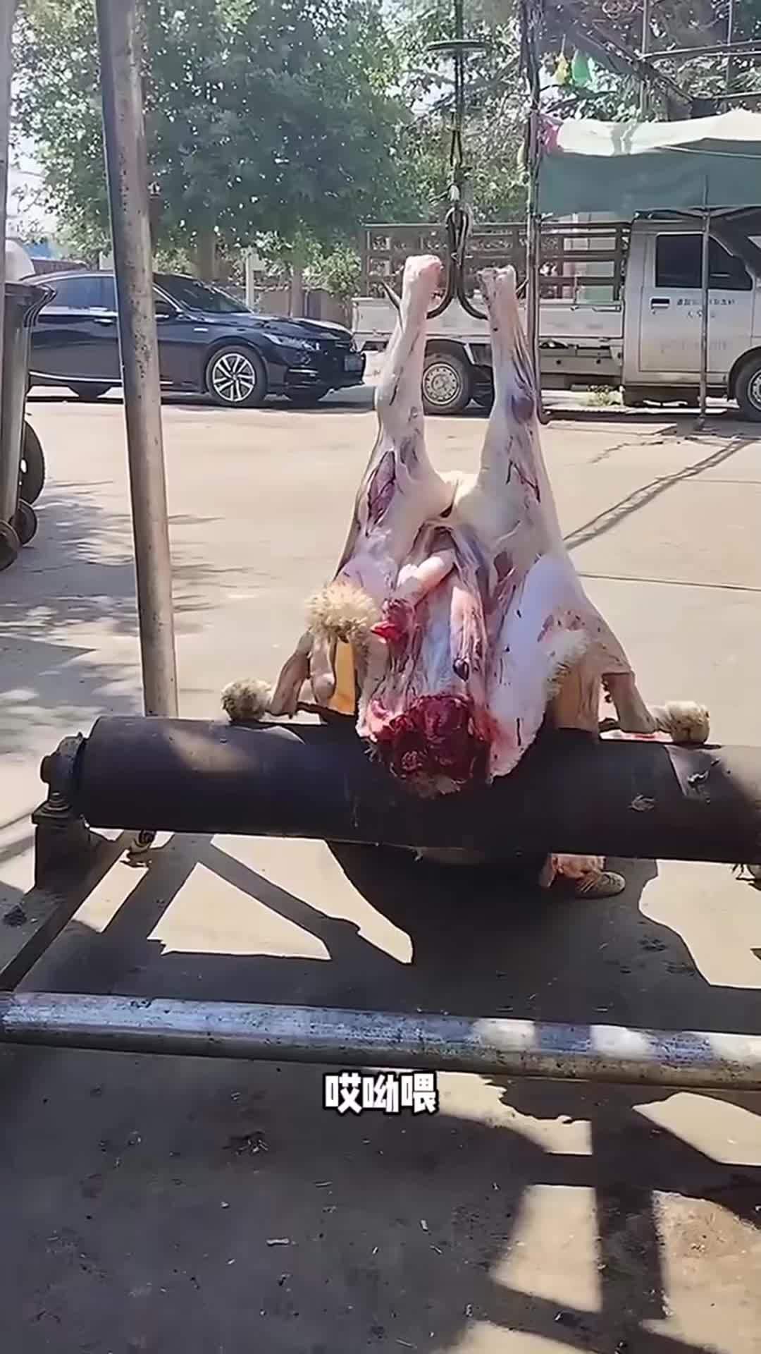 剥羊皮神操作,厉害了啊!