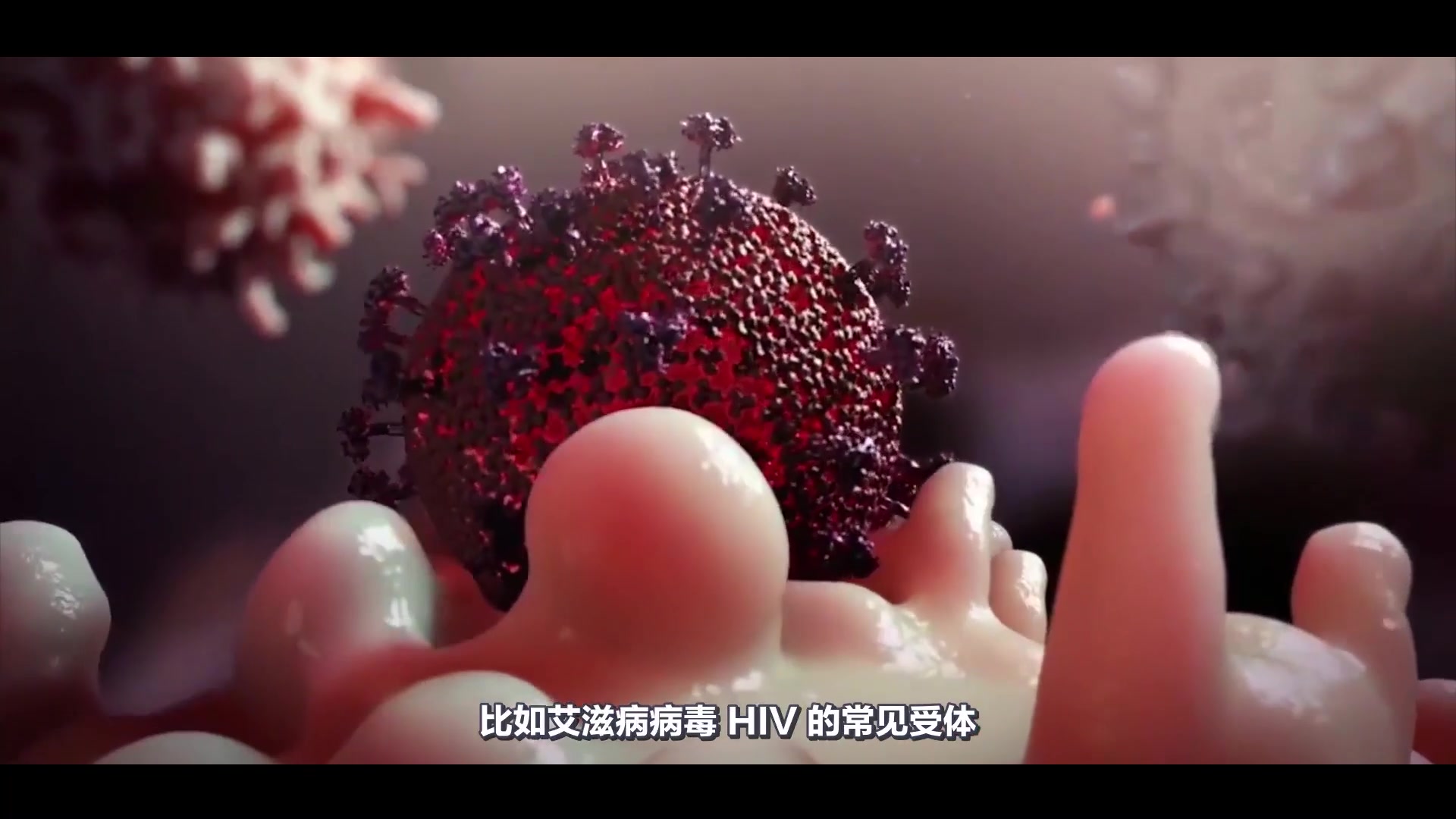 隔离日记-新型冠状病毒
