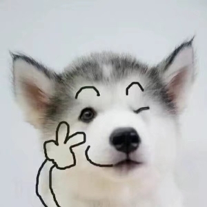 詩and远方 