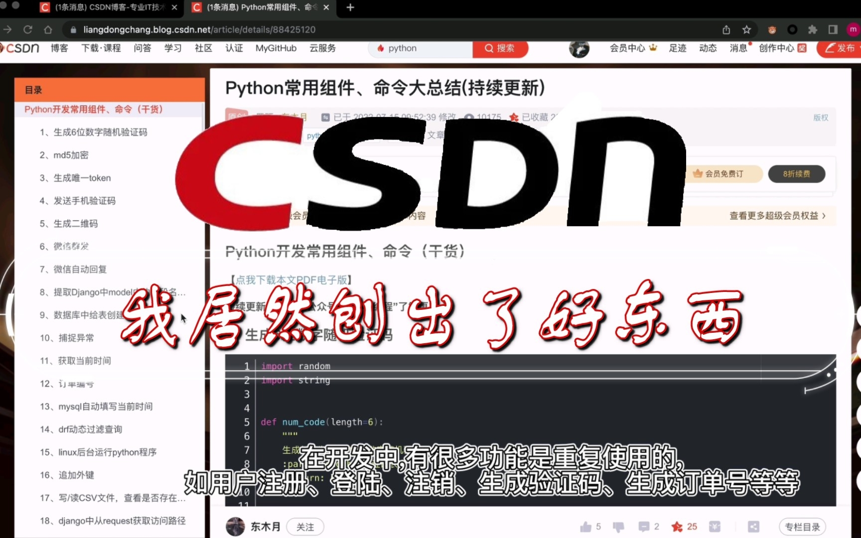 在垃圾堆里刨食,刨出了好东西——python组件库