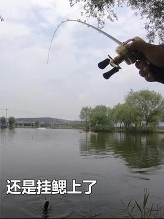 鼓轮不止能打黑,微物一样爽!