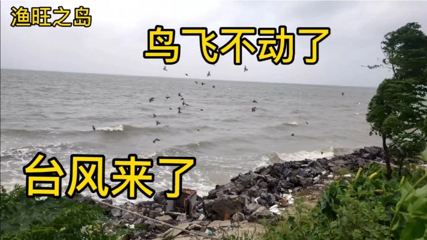 再次来到台风现场,现场一片狼嚎,肆虐,“划痛”了美丽小岛