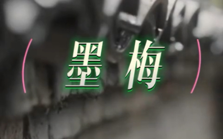 墨梅王冕 〔元代〕我家洗砚池头树,朵朵花开淡墨痕。不要人夸好颜色,...