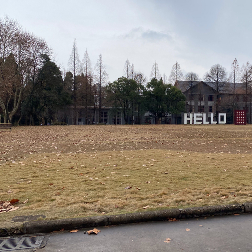 我是小付同学f 