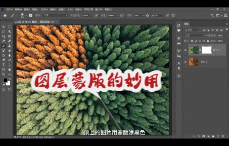 图层蒙版用法,解决局部调色问题