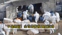 全球各地再次拉响警报!日本也出现禽流感病毒,专家紧急发出提醒