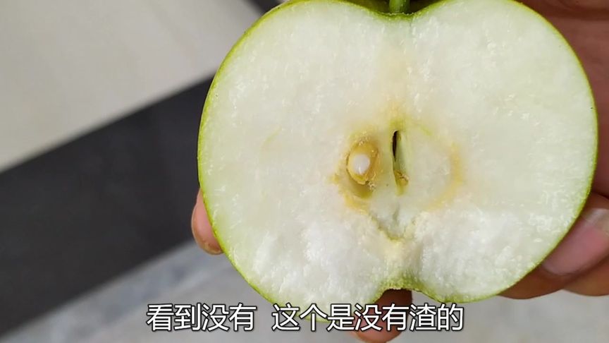 全国最甜的苹果梨原来生长这样的环境,农村的二小带大家来看看