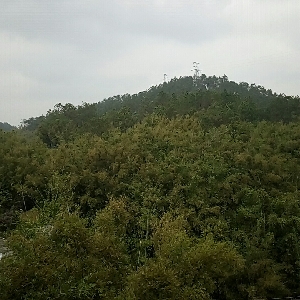 古呆子 