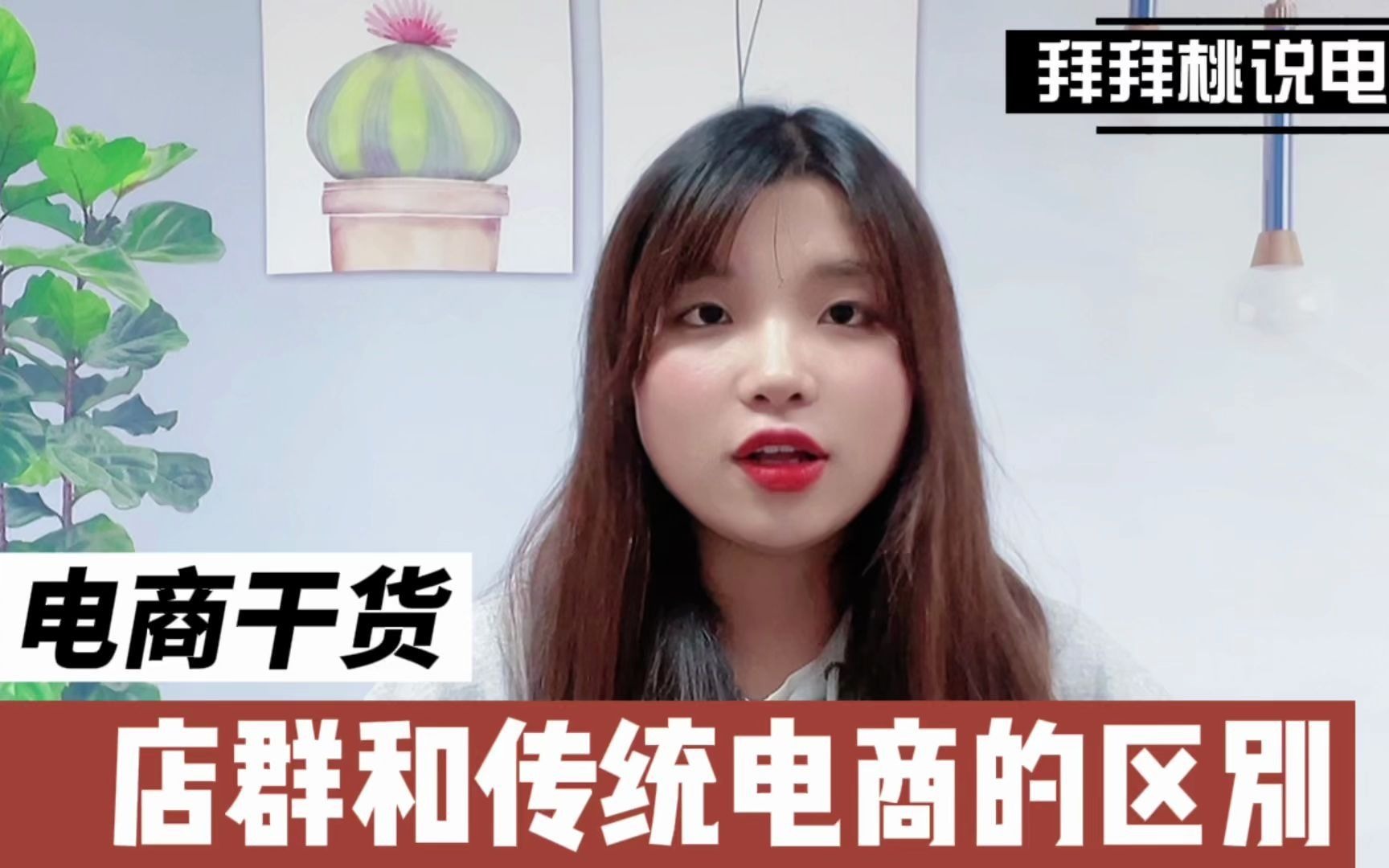 店群与传统的电商区别是什么,不要让表面阻碍了你们对网店的运营看法