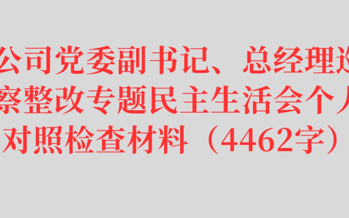 公司党委副书记、总经理巡察整改专题民主生活会个人对照检查材料(...