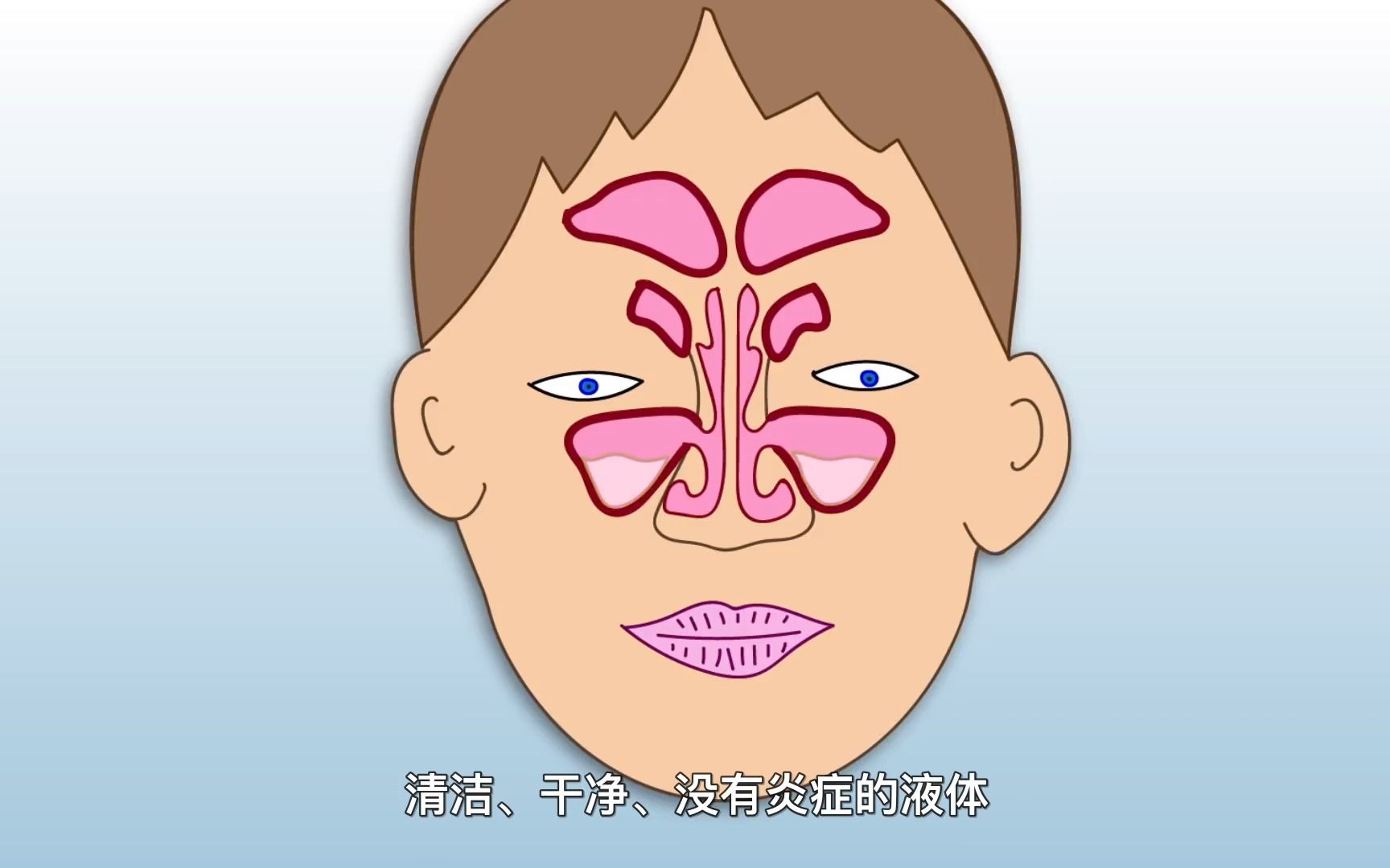 你知道感冒时,为什么鼻涕流不完?