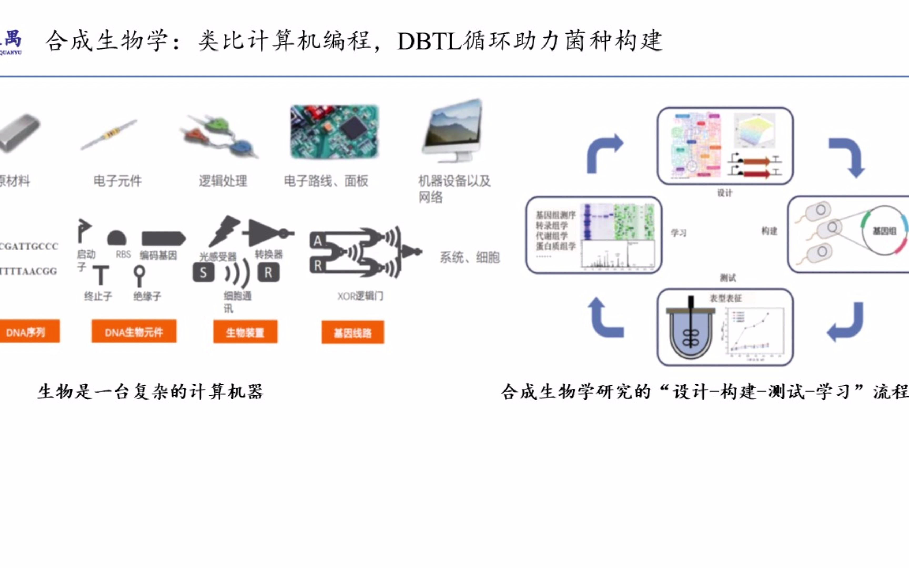 合成生物学之一:基本概念