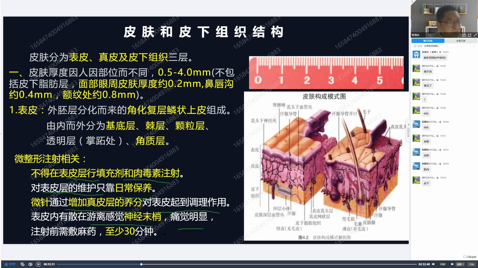 青年整形医生全能班-面部解剖层次:皮肤和皮下组织结构-金英杰医美...