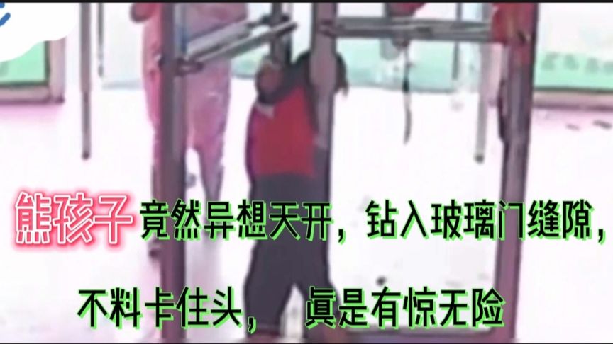 熊孩子竟然异想天开,钻入玻璃门缝隙,不料卡住头,真是有惊无险