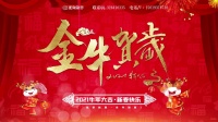 2021年牛年喜庆倒计时牛年晚会视频