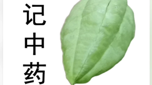 《300中成药》第263剂【龙牡壮骨颗粒】