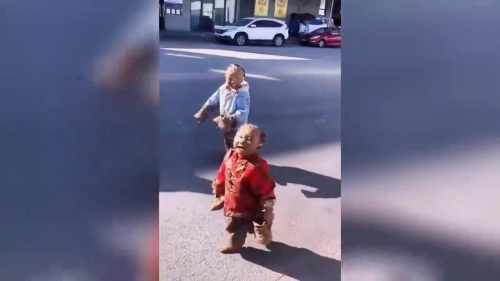 幼崽的迷惑言语:有趣对话背后的童真与情感